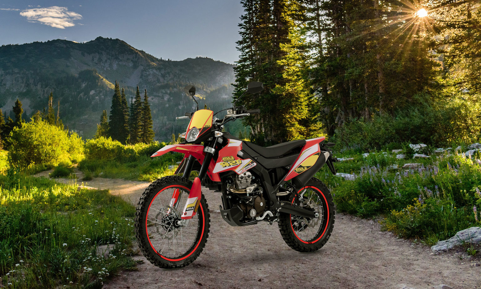 DSR EX - UM Motorcycles