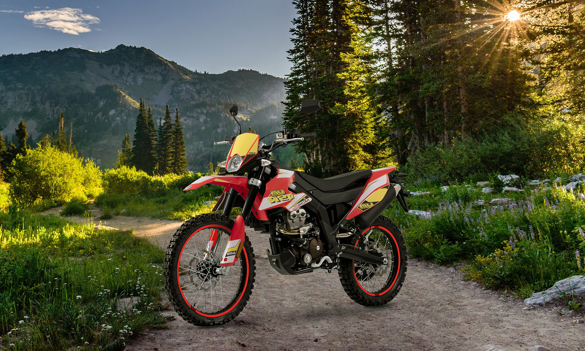 DSR EX - UM Motorcycles